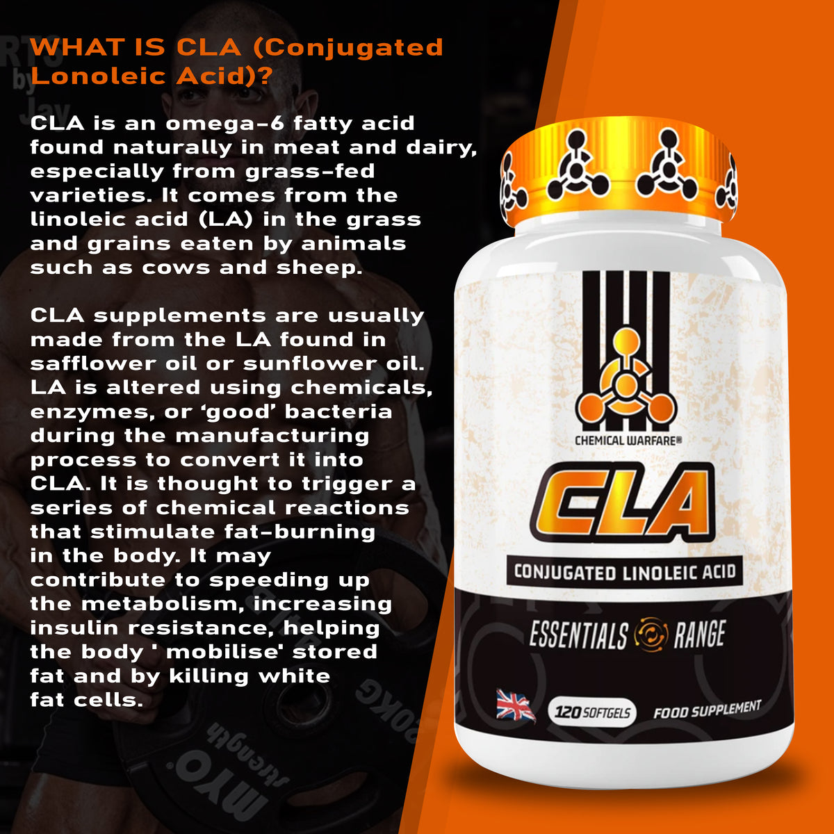 CLA Softgels - 4000mg Conjugated Lonoleic Acid (30 Servings) – Chemical ...