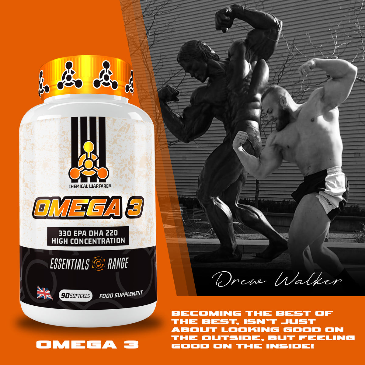 Omega 3 - High Strength (330 EPA 220 DHA) (90 Soft Gels) – Chemical Warfare